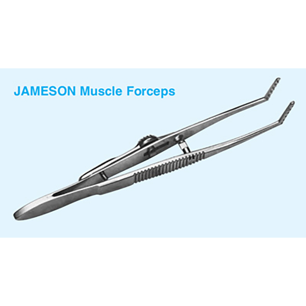 Jameson Muscle Forceps
